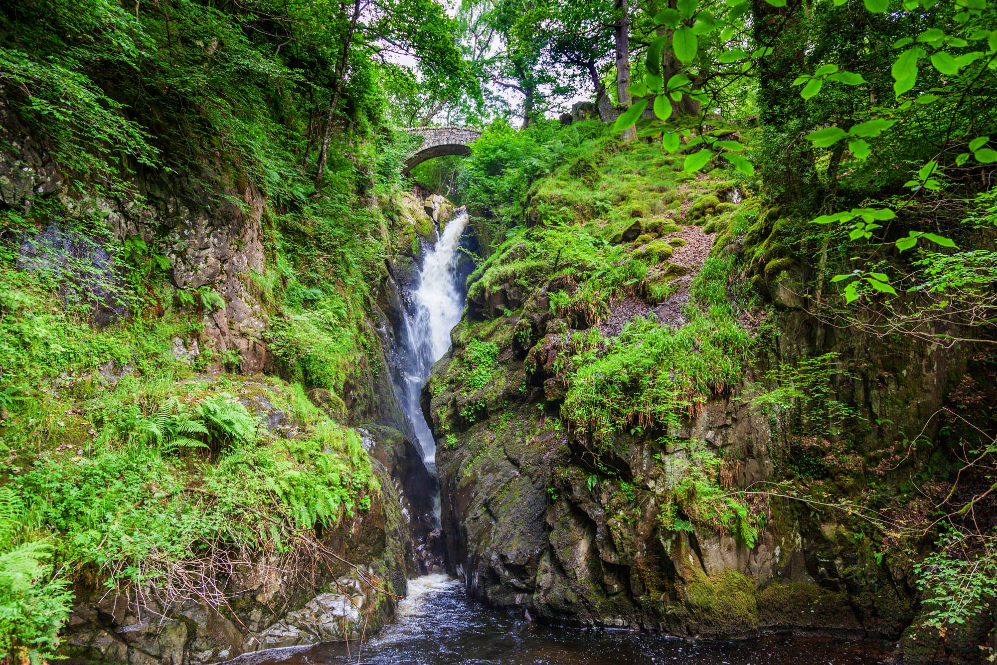 Aira Force Waterfall Walk - best route for an easy Lake District walk ...