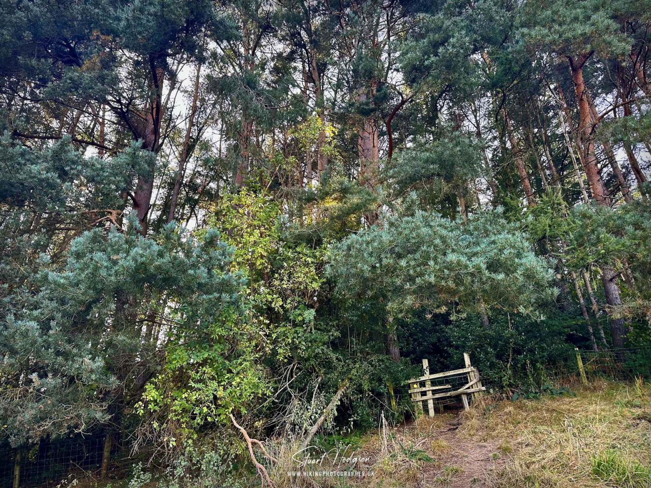 Egton Bridge walk to Beggars Bridge along the River Esk near Whitby ...