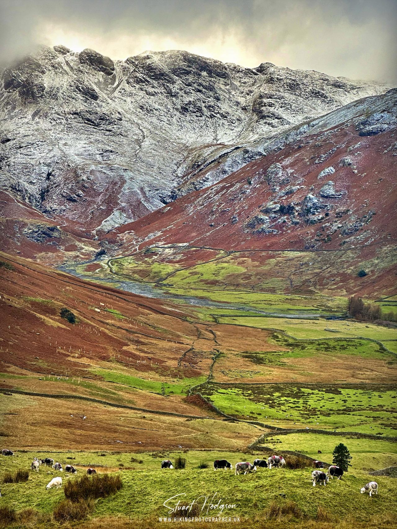 Blea Tarn walk, one of my favourite places in the Lake District ...