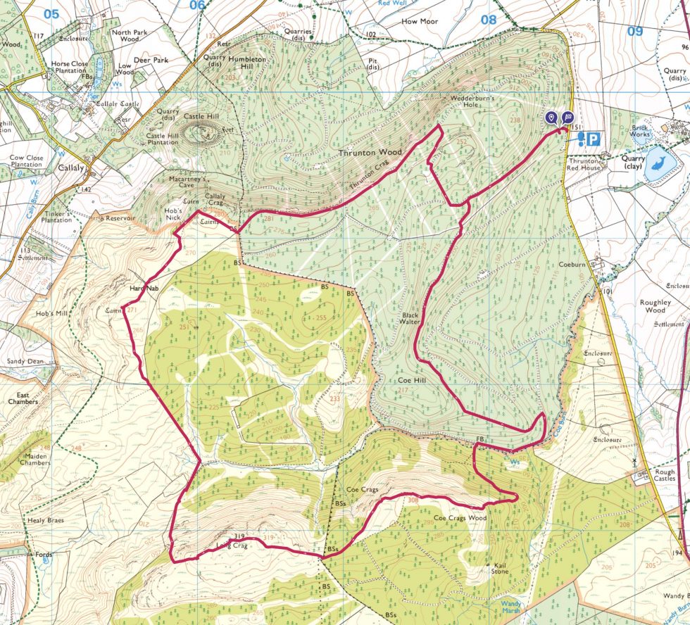 Thrunton Woods: How to explore this large woodland in Northumberland ...