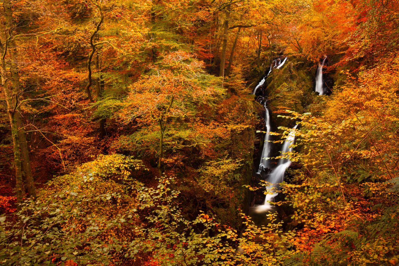 Walks near Ambleside & Windermere - 5 of the best Lake District walks ...