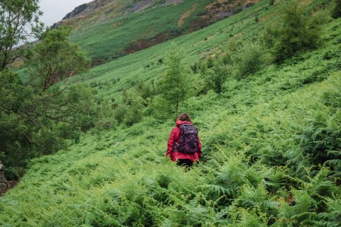 Natural infinity pool in the Lake District at Thirlmere - how to find ...